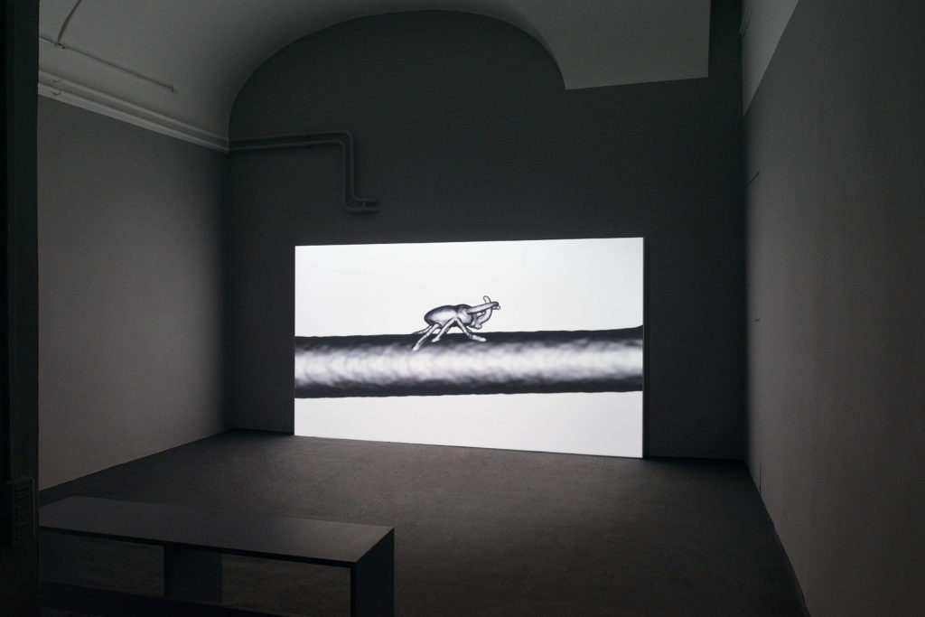 OLIVER LARIC / DAVID HORVITZ — CURA.