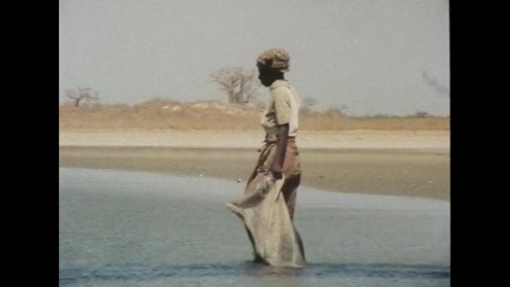PerAnkh: The June Givanni PanAfrican Cinema Archive — CURA.