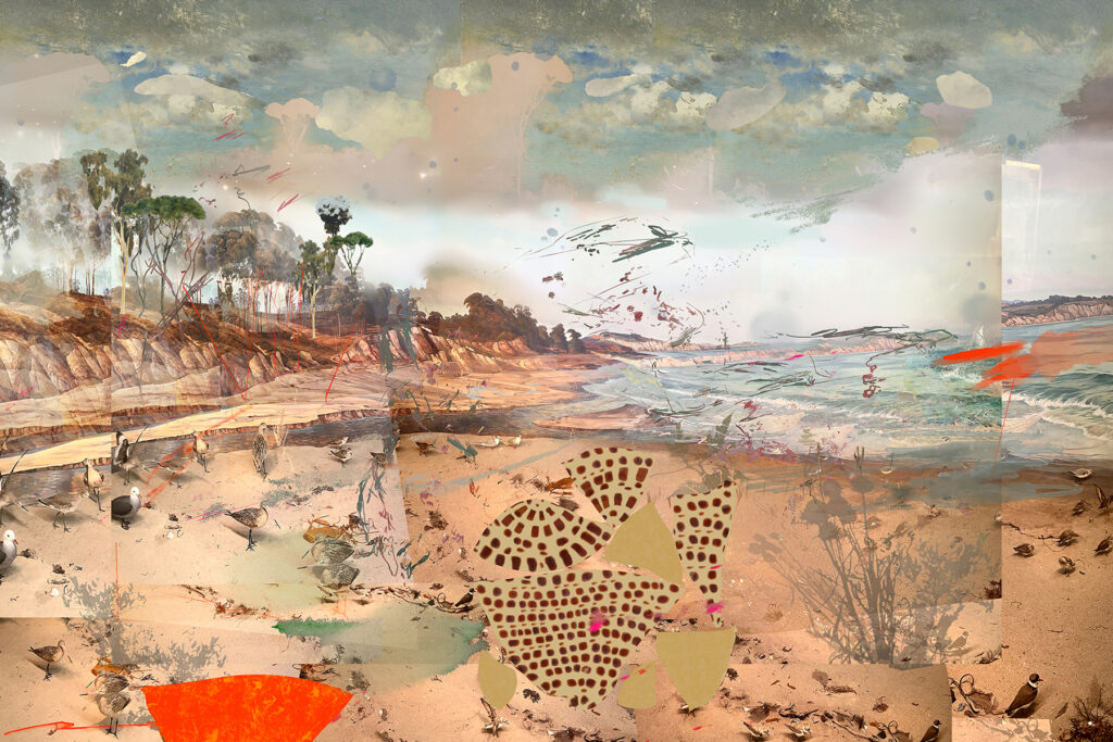 Petra Cortright — CURA.